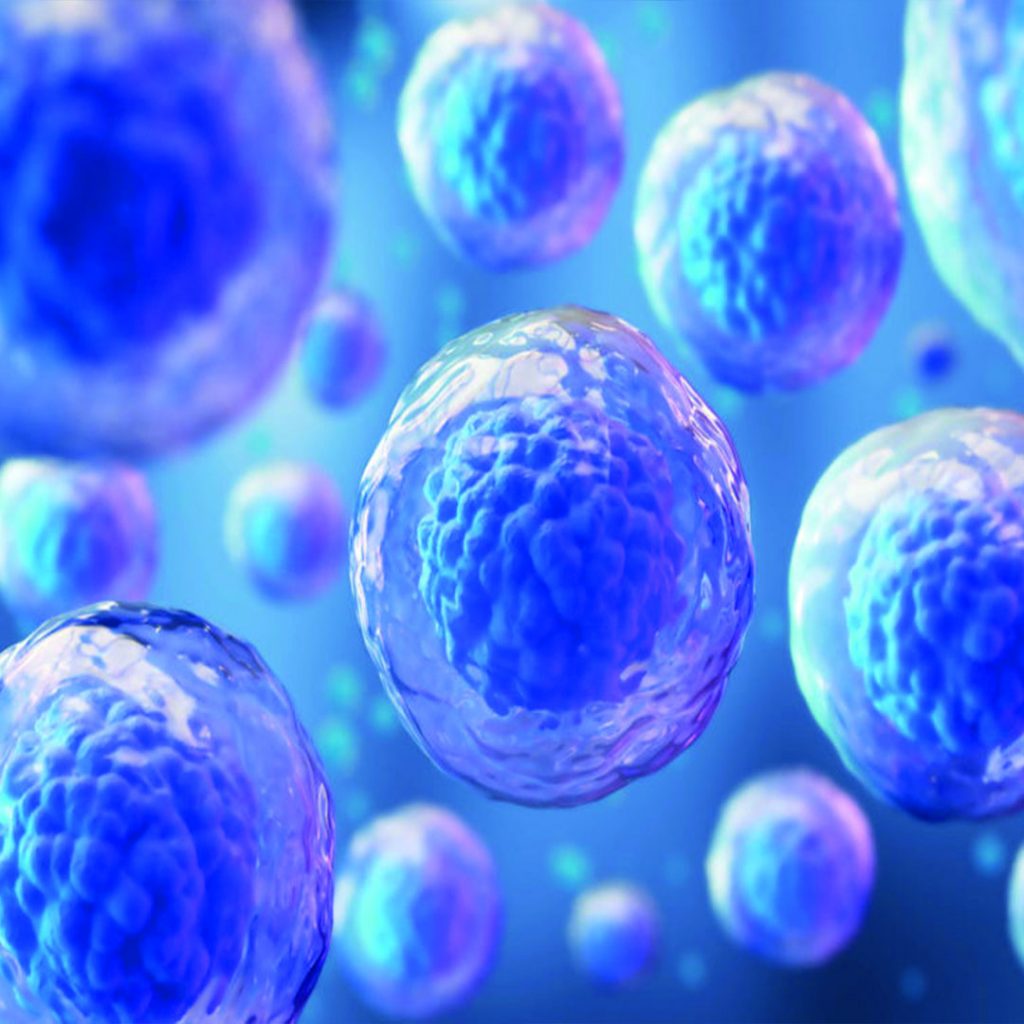 Saber más – ExoXelle